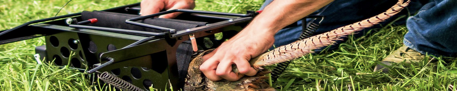 Bird Launchers | MunroKennels.com