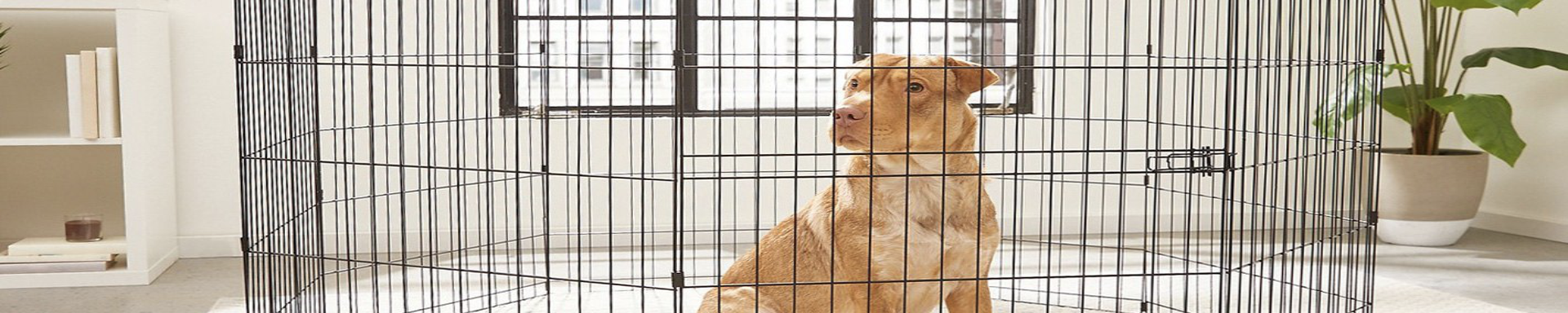 Containment & Fencing | MunroKennels.com