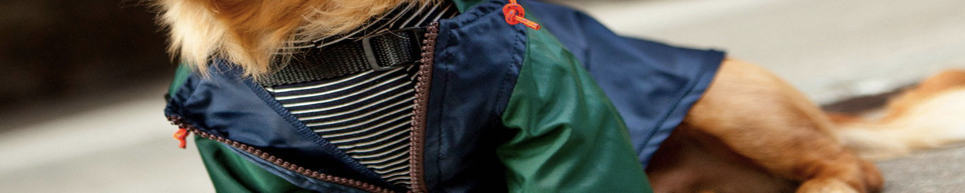 Dog Coats & Jackets | MunroKennels.com