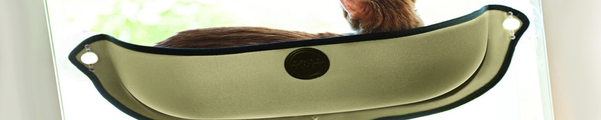 Kitty Sills | MunroKennels.com